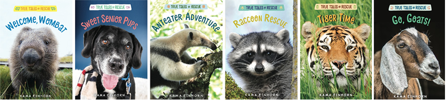 Who Tells Your Story? | Kama Einhorn